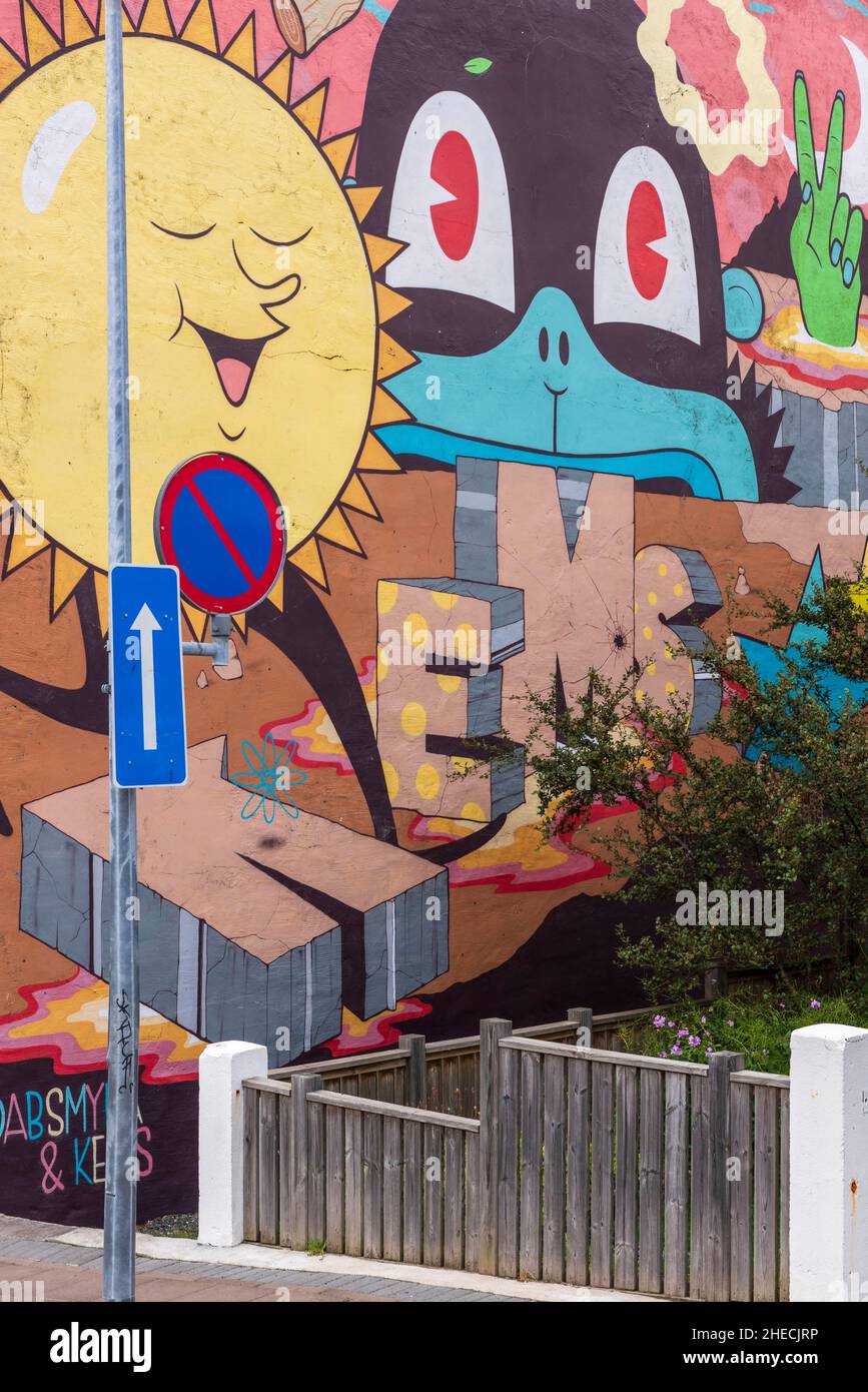 Iceland, Capital region, Reykjavik, Bjargarstigur, street art, mural ...