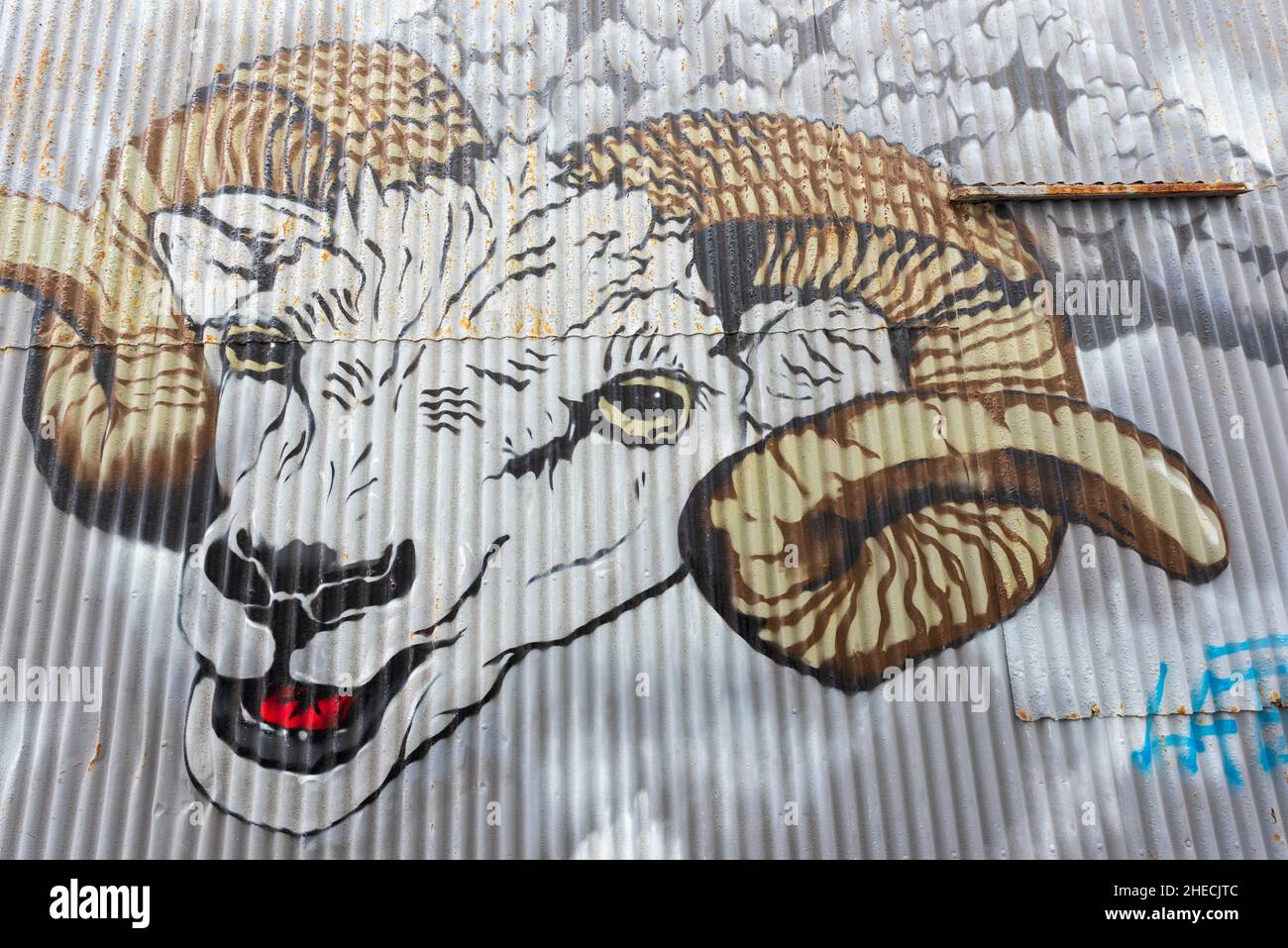 Iceland, Capital region, Reykjavik, street art, mural of a ram's head ...