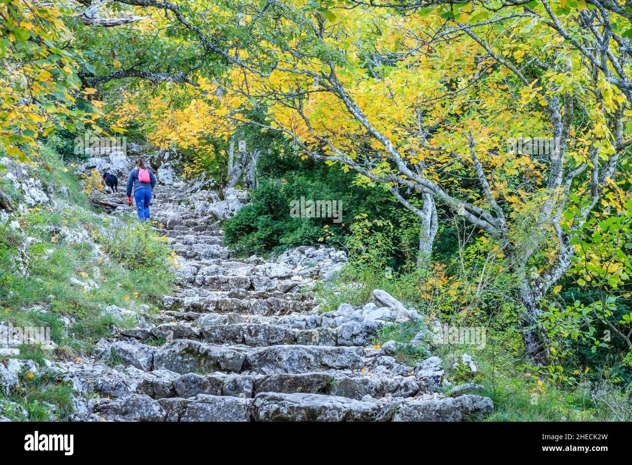 France, Var, Sainte Baume Regional Natural Park, hiker in the Massif de ...