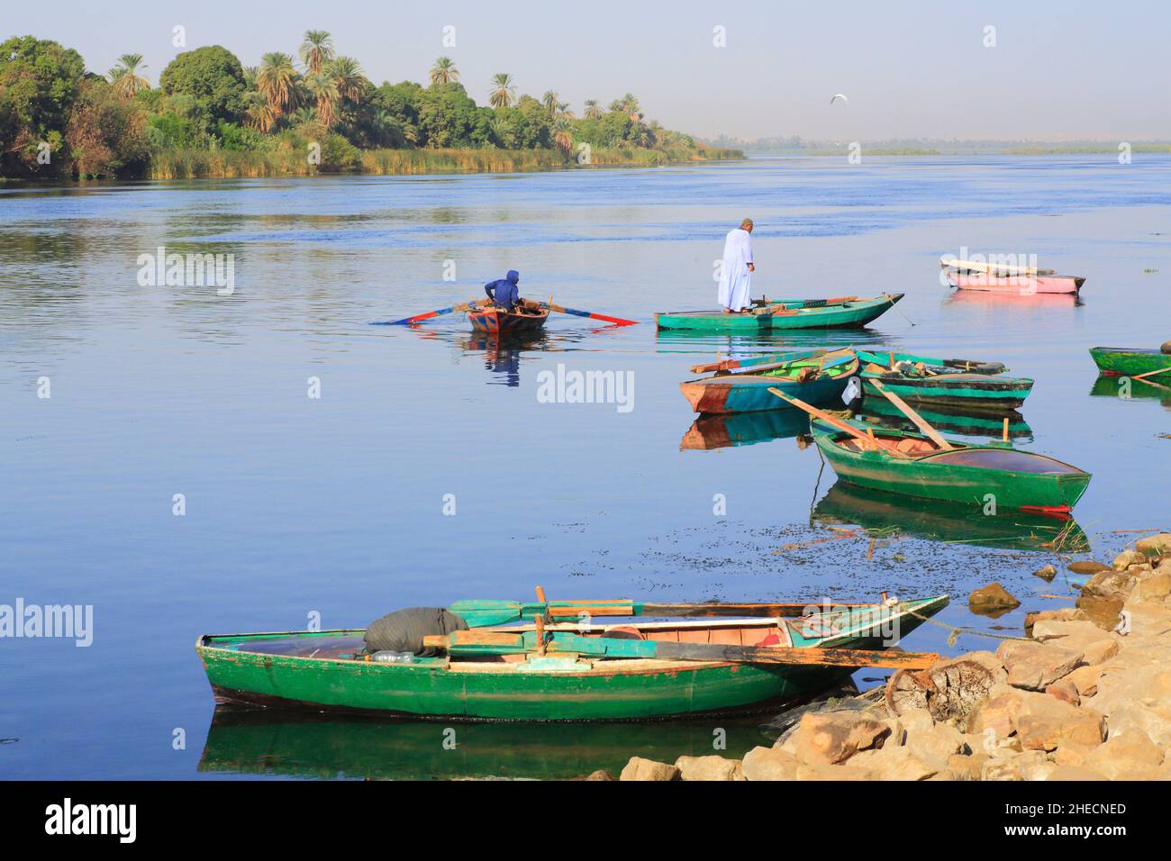 Egypt, Upper Egypt, Nile valley, El Kab village, return from fishing ...