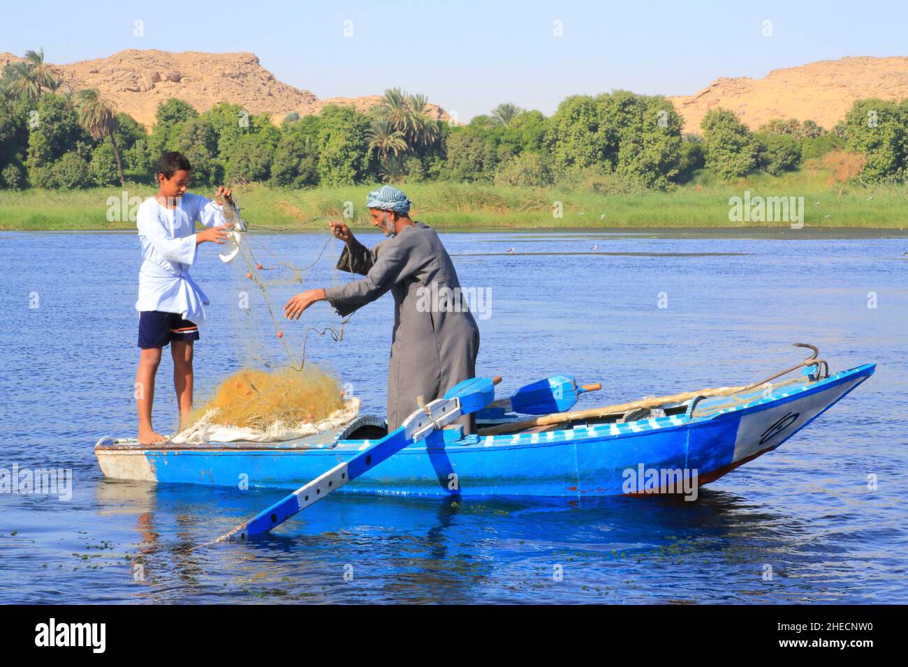 Egypt, Upper Egypt, Nile valley, Bassaw island (north of Kom Ombo), net ...