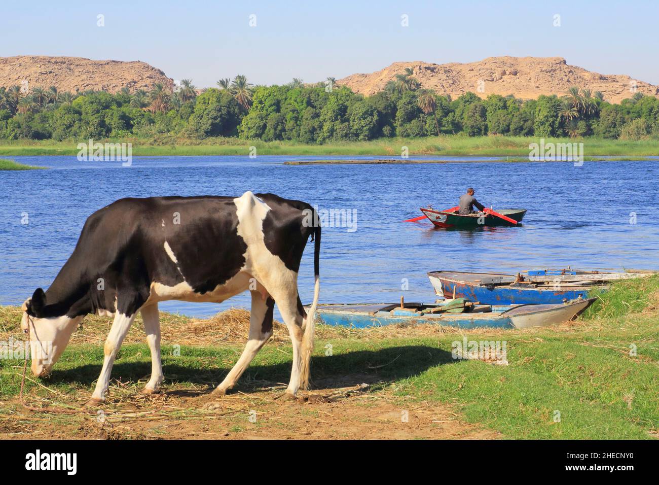 Egypt, Upper Egypt, Nile valley, Bassaw island (north of Kom Ombo ...