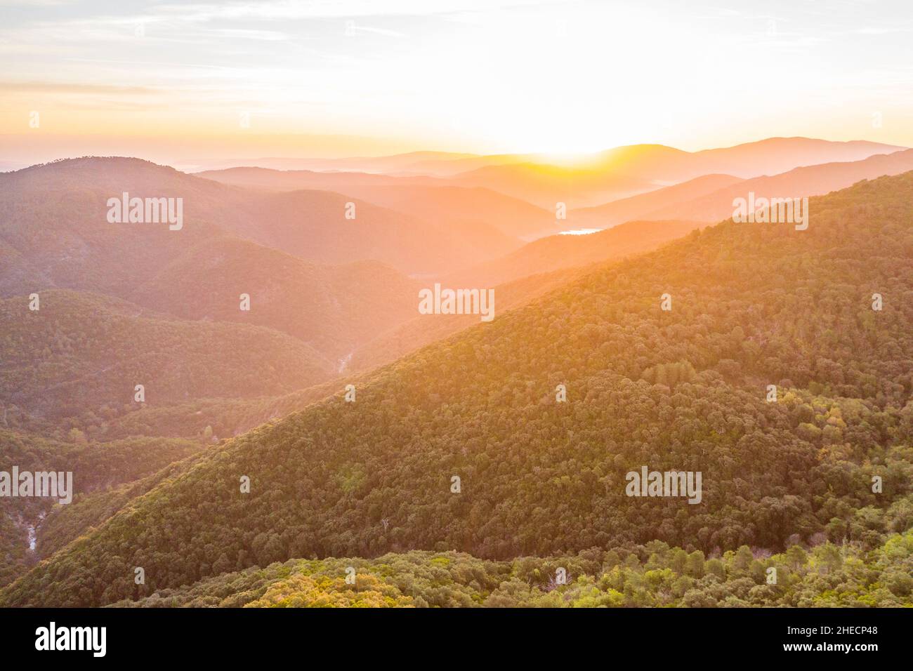 France, Var, Massif des Maures, Collobrieres, forest massif at sunrise ...