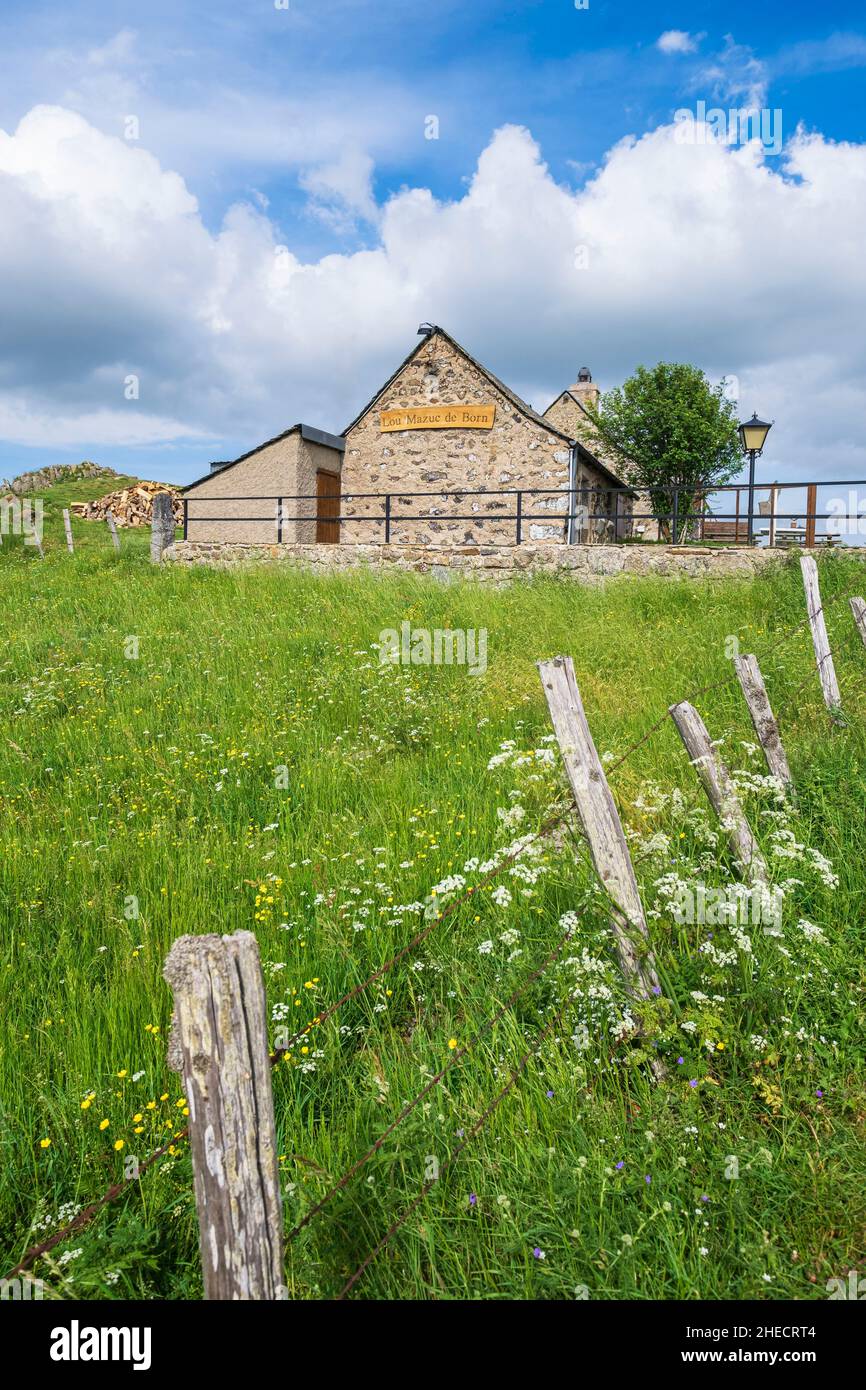 France, Lozere, Aubrac regional natural park, Marchastel, Buron de Born ...