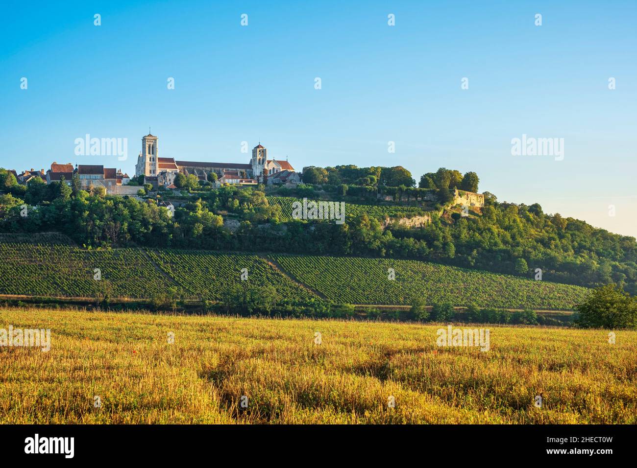France, Yonne, Morvan regional natural park, Vezelay, a UNESCO World ...