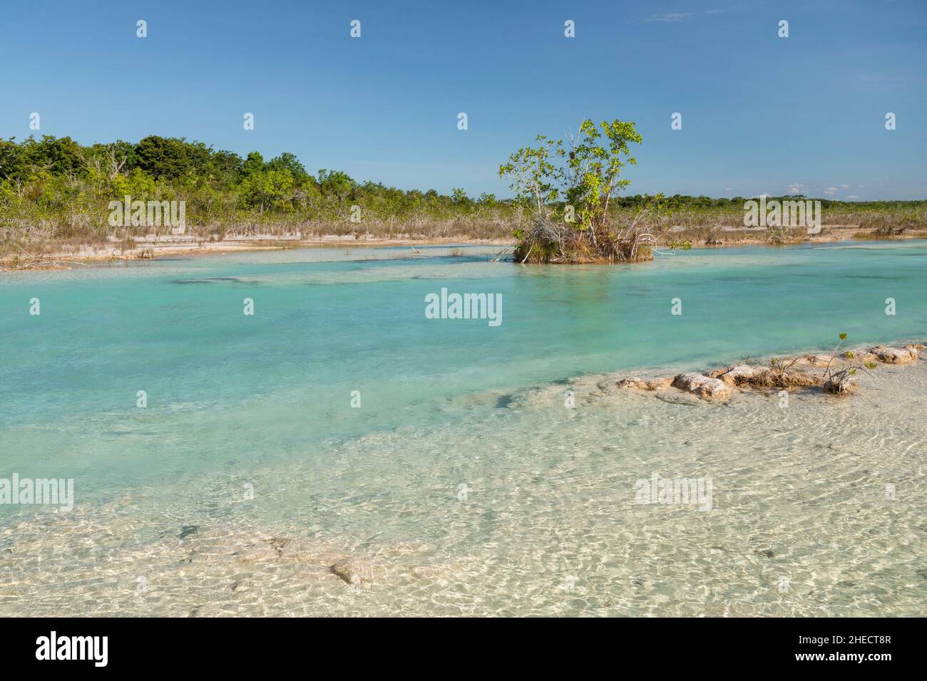 Mexico, Quintana Roo, Bacalar, Los Rapidos, a natural channel formed by ...