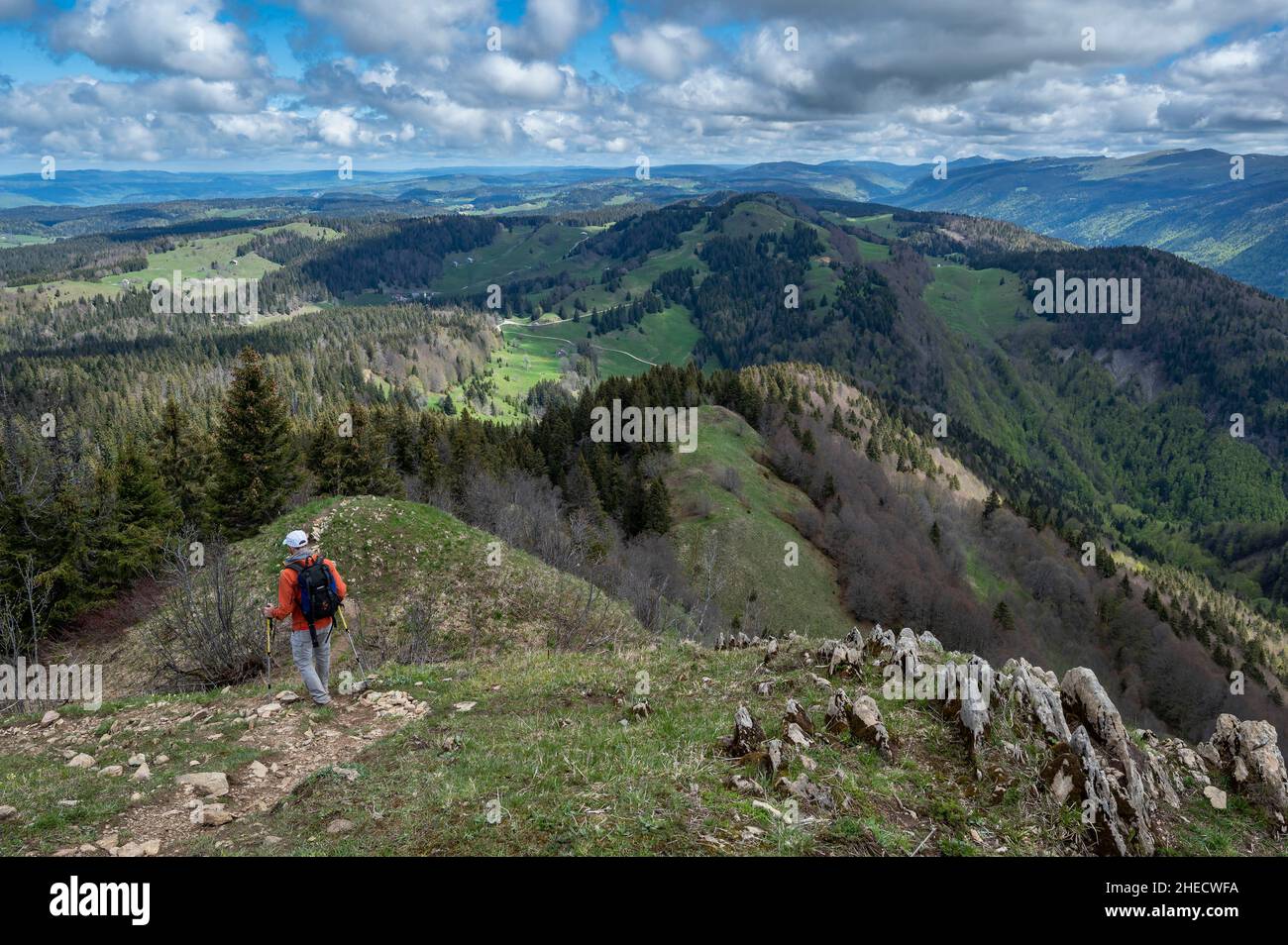 France, Ain, Jura massif, regional nature park, hike to the cret de ...