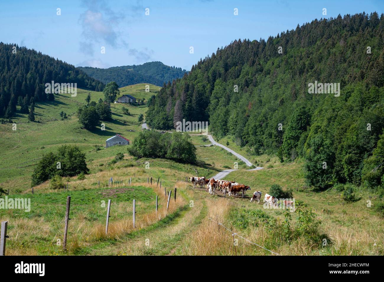 Massif central france bike hi-res stock photography and images - Alamy