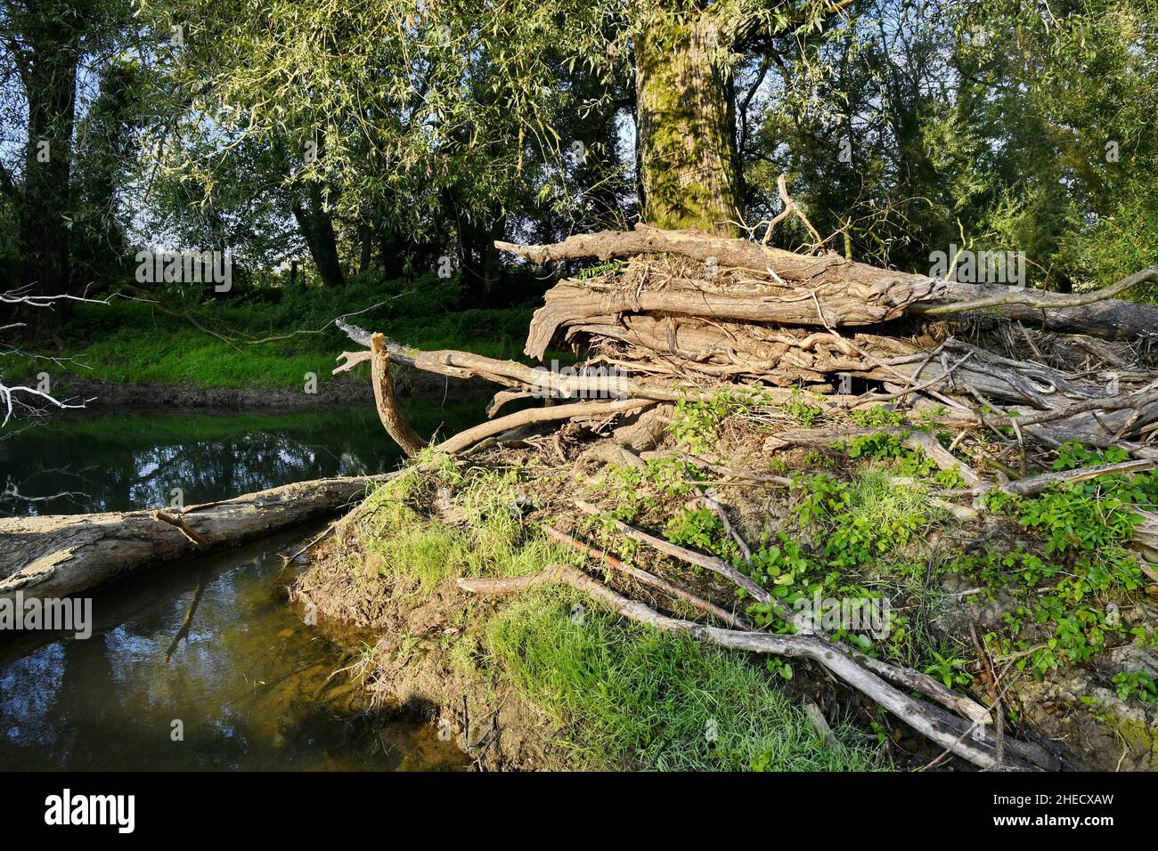 France, Doubs, Allenjoie, river, Allan, lower valley, low water, summer ...