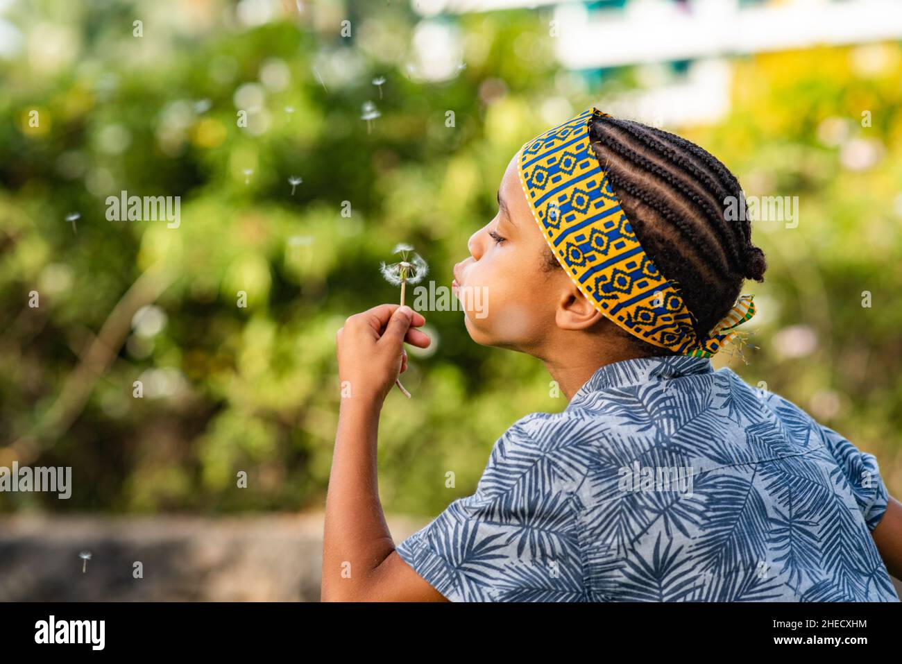 Cute African American child blowing dandelion in nature Stock Photo - Alamy