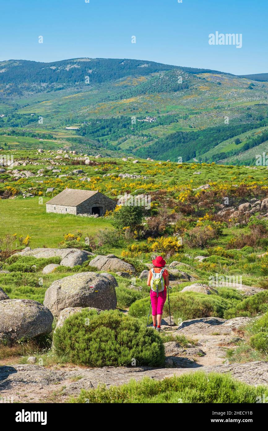 France, Lozere, surroundings of Pont de Montvert - Sud Mont Lozere ...