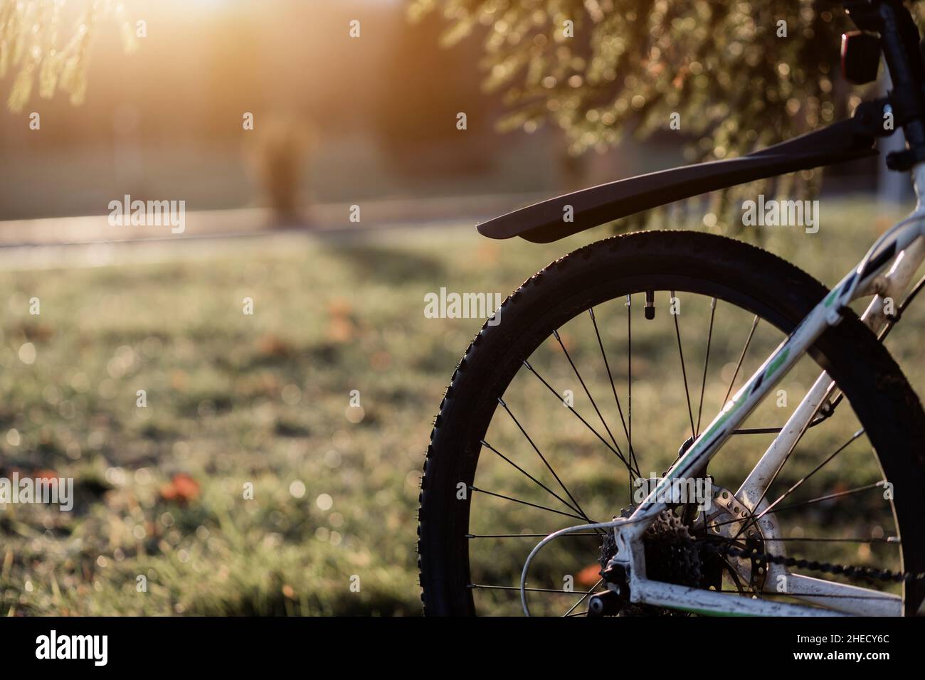 Wheel needles hi-res stock photography and images - Alamy