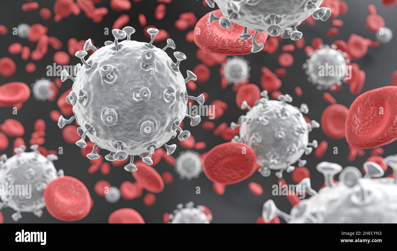 Blood cells in blood vessel hi-res stock photography and images - Alamy