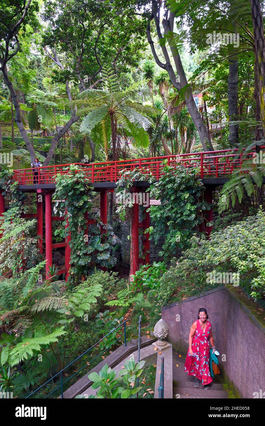 Madeira island hi-res stock photography and images - Alamy