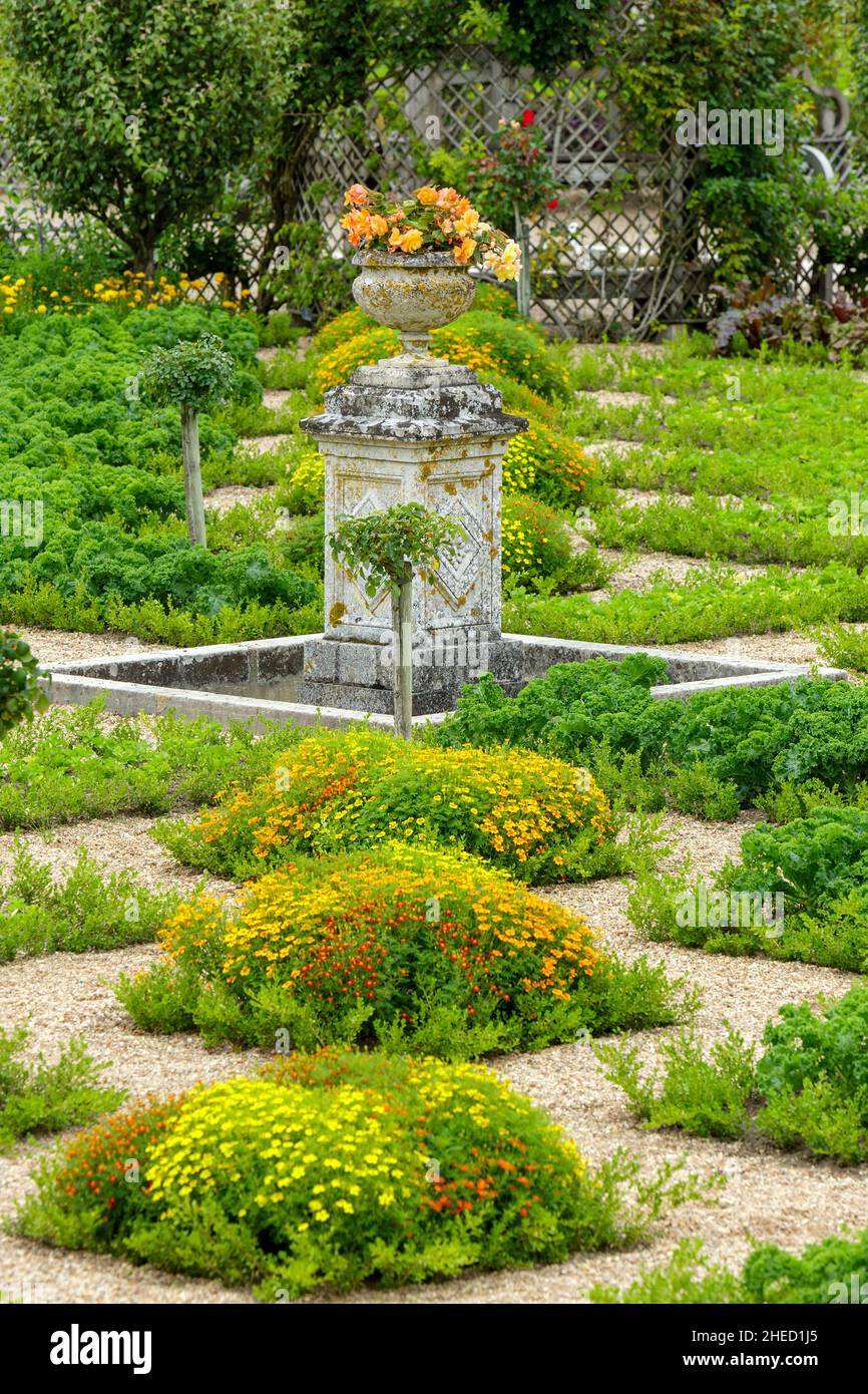 Angelique tree hi-res stock photography and images - Alamy