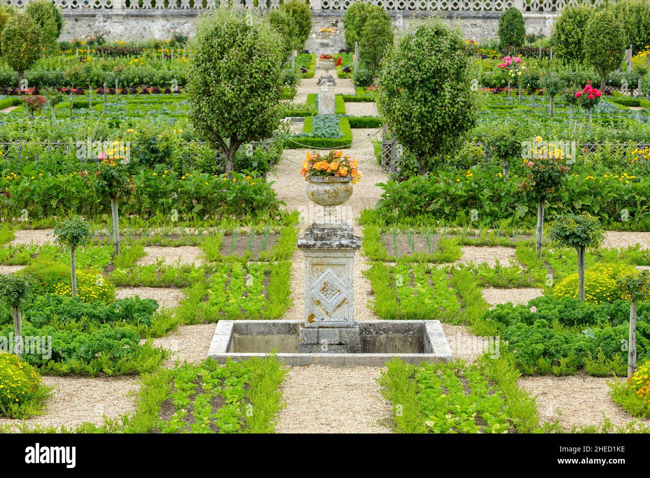 Angelique tree hi-res stock photography and images - Alamy