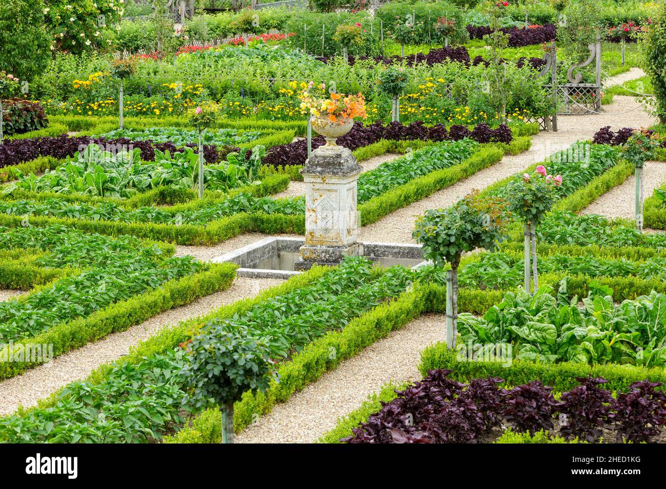 Angelique tree hi-res stock photography and images - Alamy