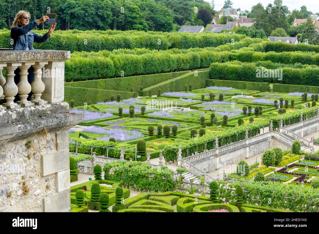 Angelique tree hi-res stock photography and images - Alamy