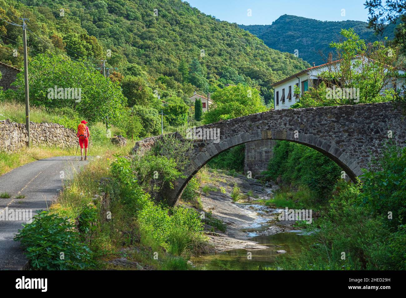 France, Gard, Mialet, hike on the Stevenson trail or GR 70, stone ...