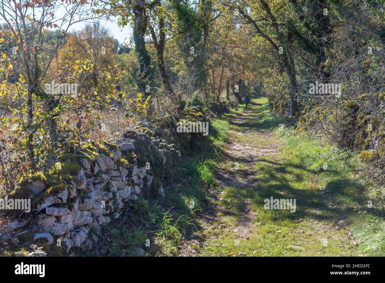 France, Lot, Gramat, path on the causse Stock Photo - Alamy