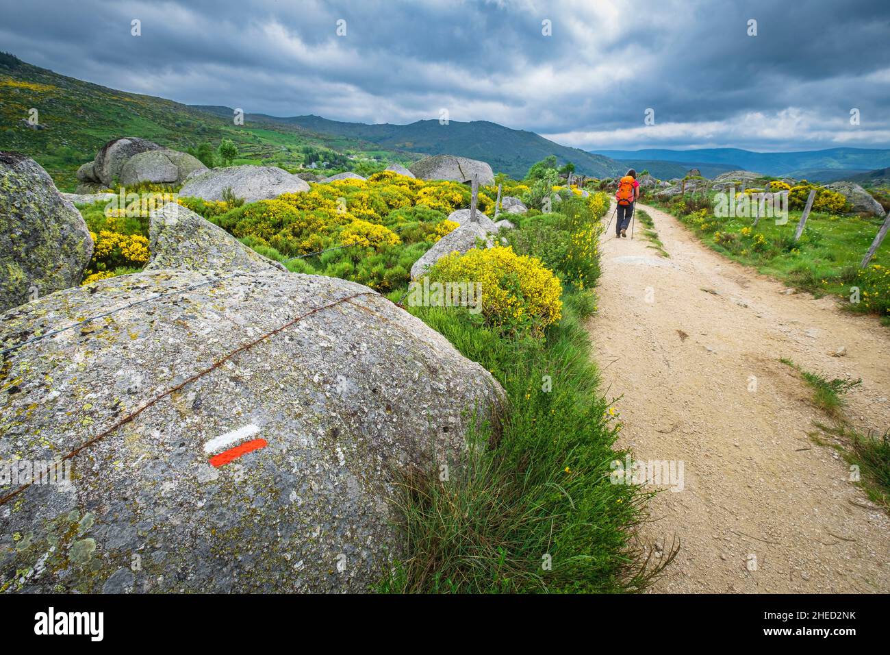 France, Lozere, Pont de Montvert - Sud Mont Lozere, hike on the ...