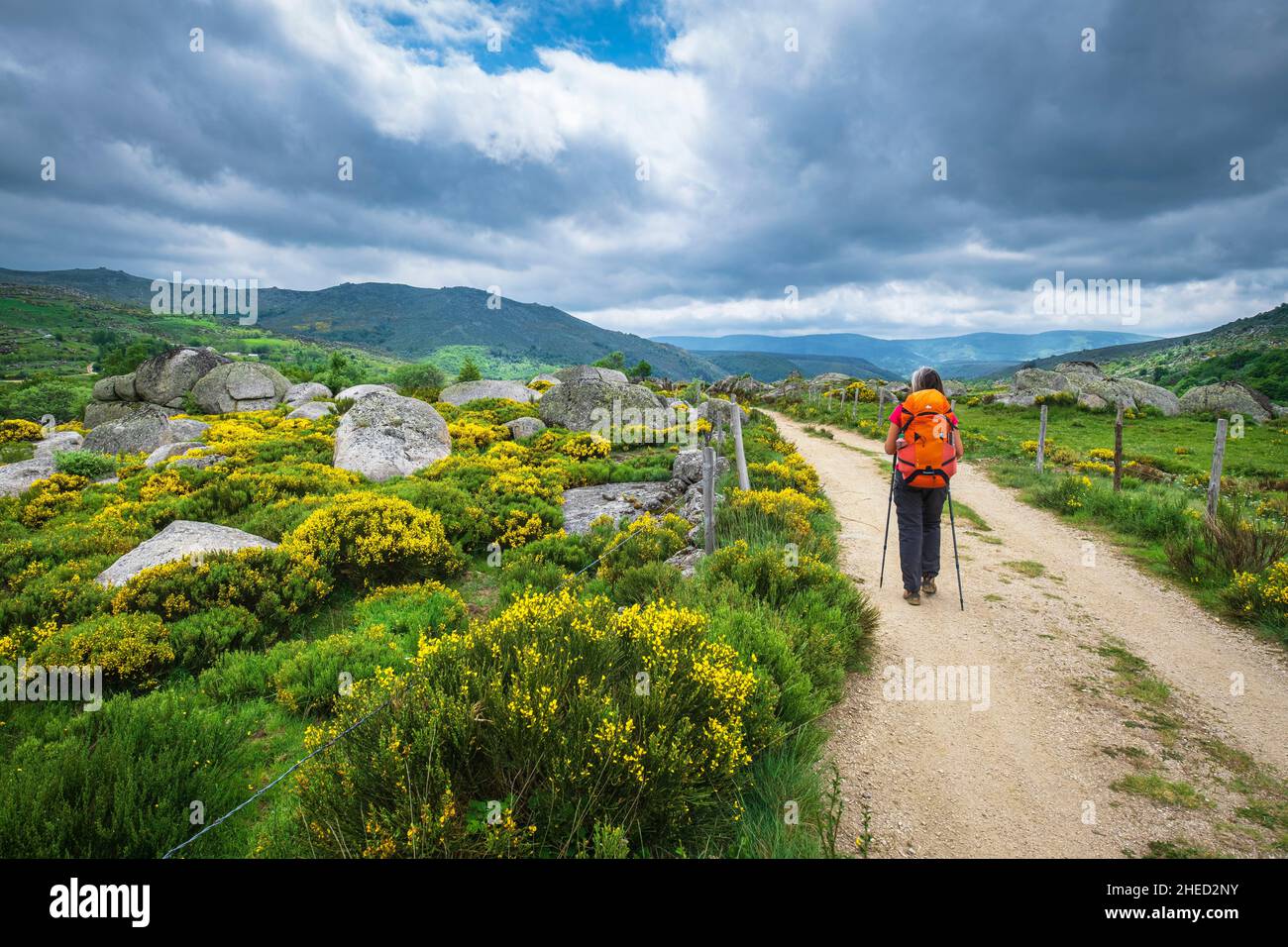 France, Lozere, Pont de Montvert - Sud Mont Lozere, hike on the ...
