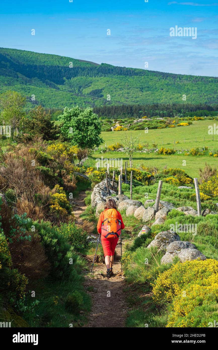 France, Lozere, surroundings of Pont de Montvert - Sud Mont Lozere ...