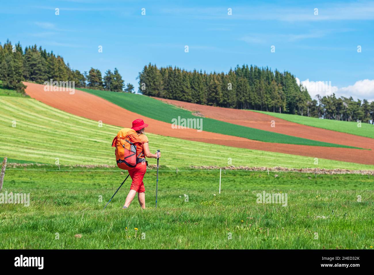 France, Haute-Loire, surroundings of Landos, hike on the Stevenson ...