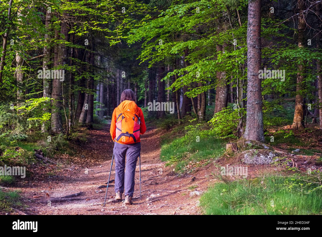 France, Lozere, surroundings of Saint-Flour-de-Mercoire, hike on the ...