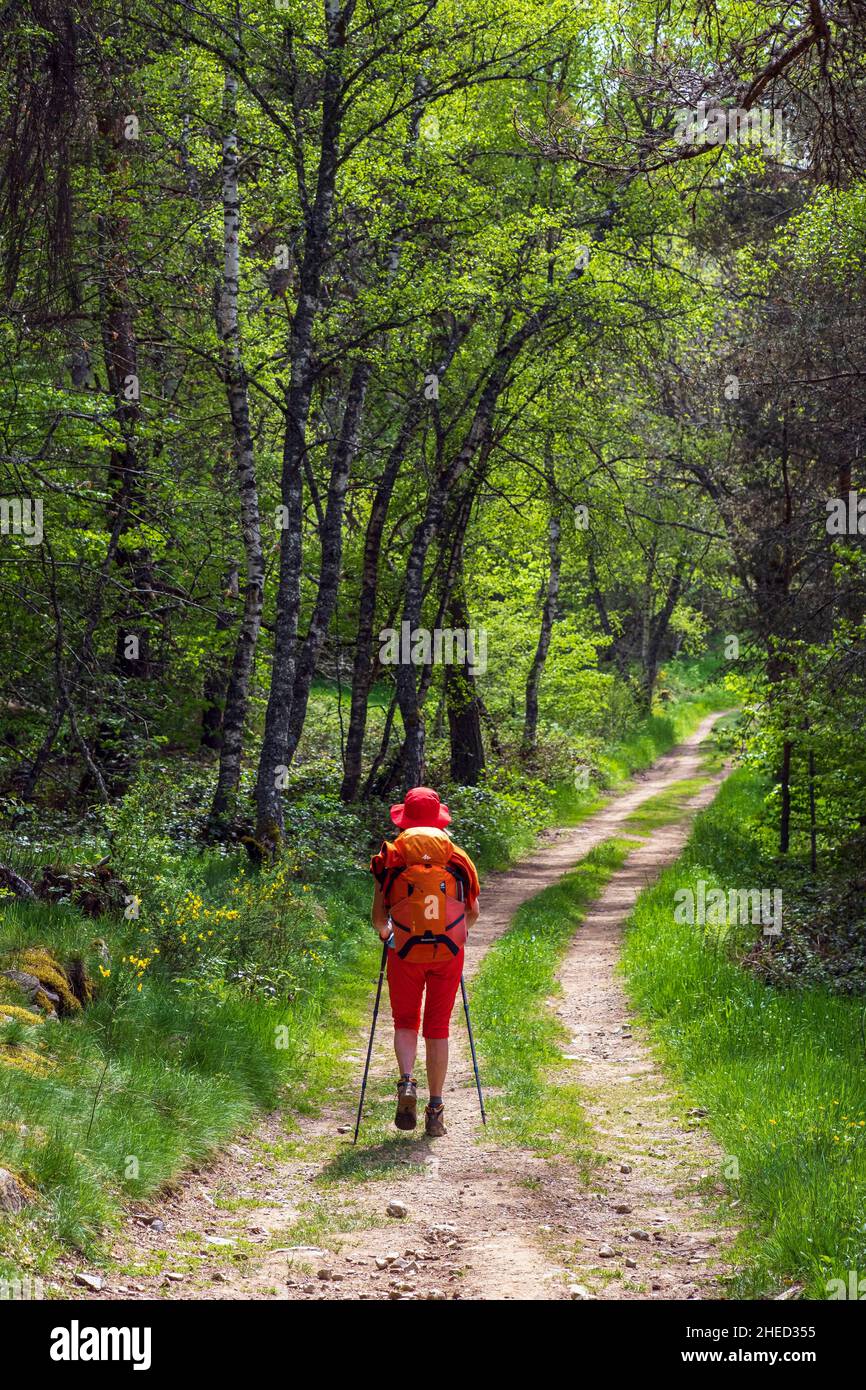 Saint flour de mercoire hi-res stock photography and images - Alamy