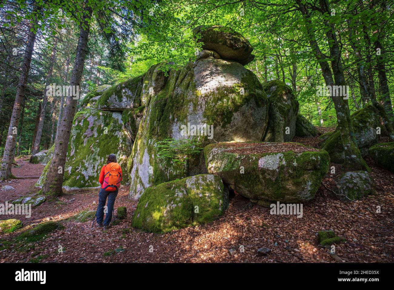 Baoume hi-res stock photography and images - Alamy