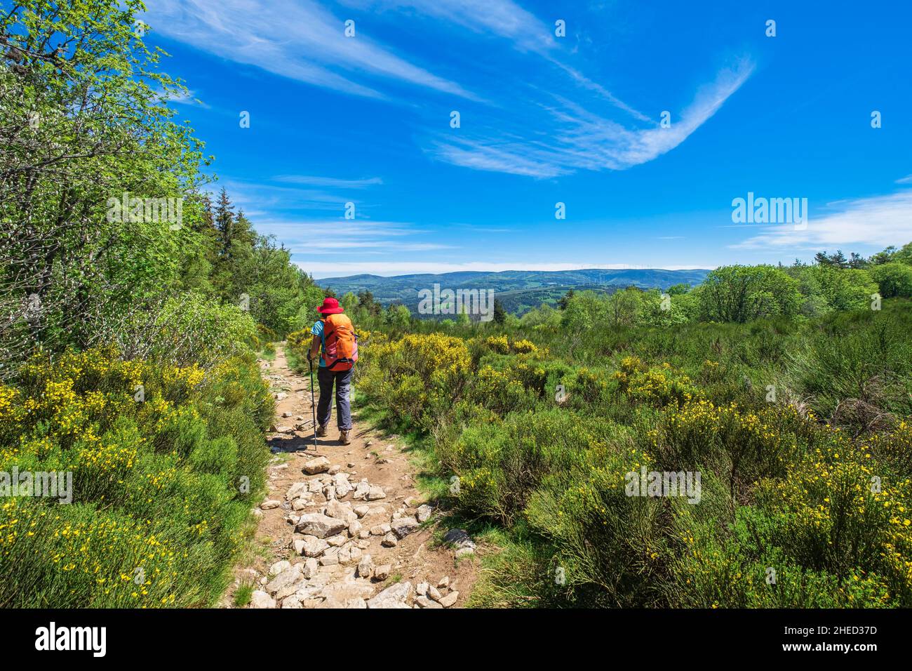 France, Lozere, Luc, hike on the Stevenson trail or GR 70 Stock Photo ...
