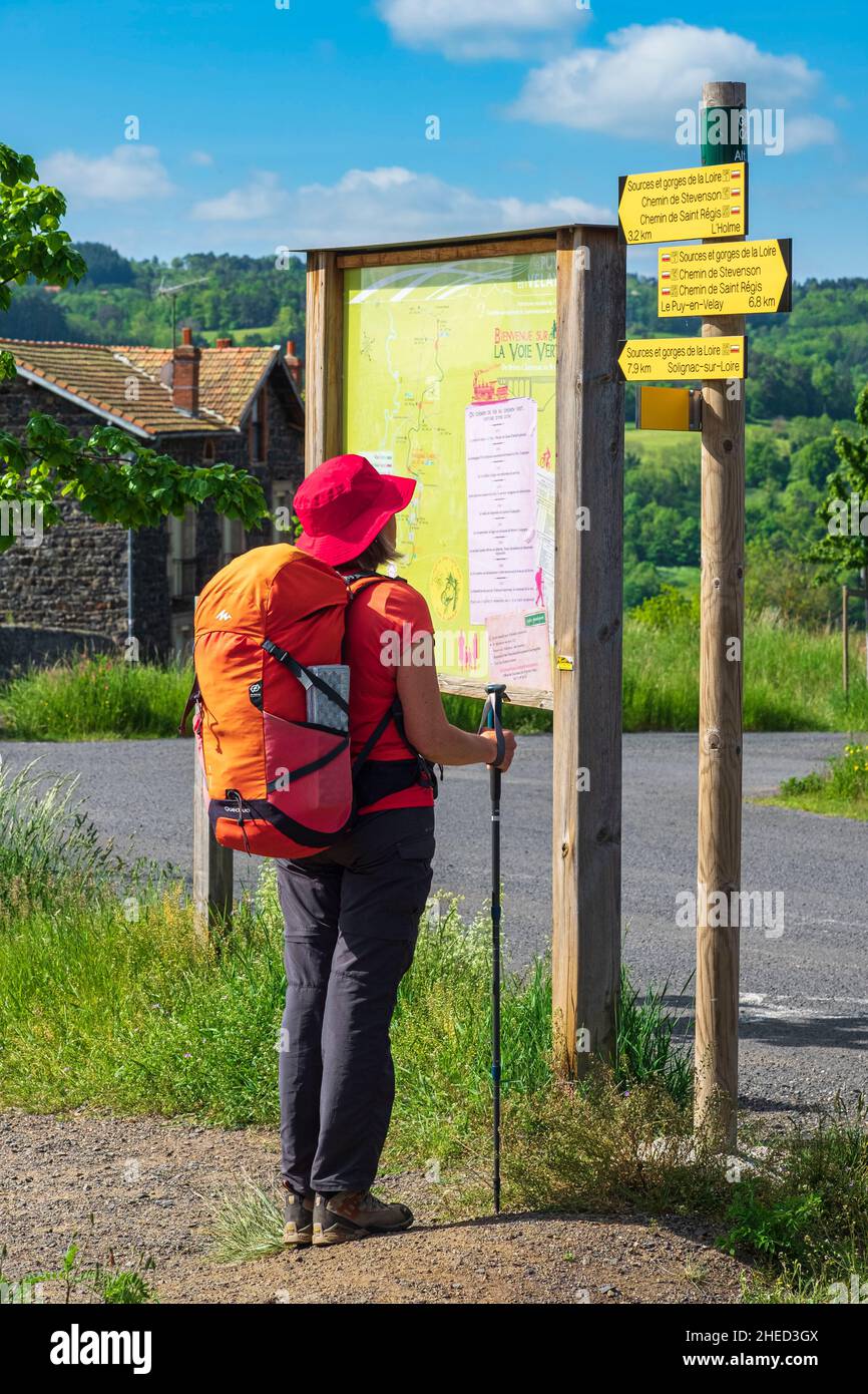 France, Haute-Loire, surroundings of Coubon, hike on the Stevenson ...