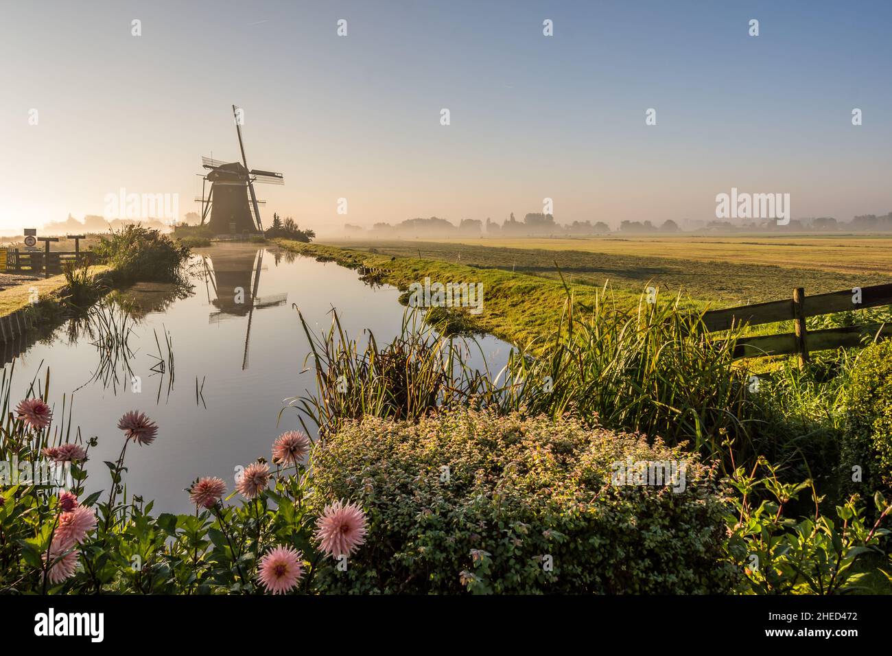 Typical Dutch landscape with windmills in the background Stock Photo ...