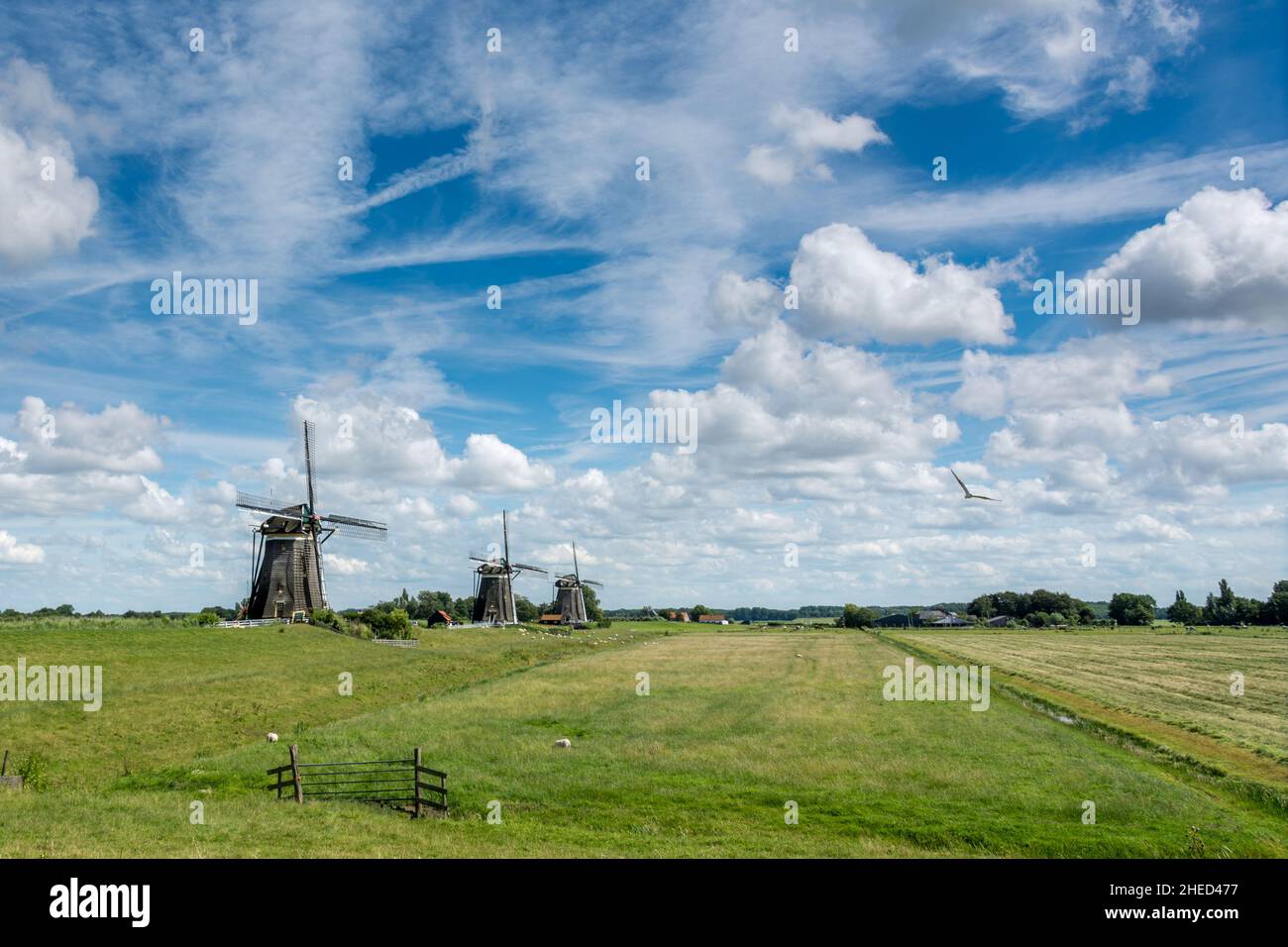 Typical dutch scenery hi-res stock photography and images - Alamy