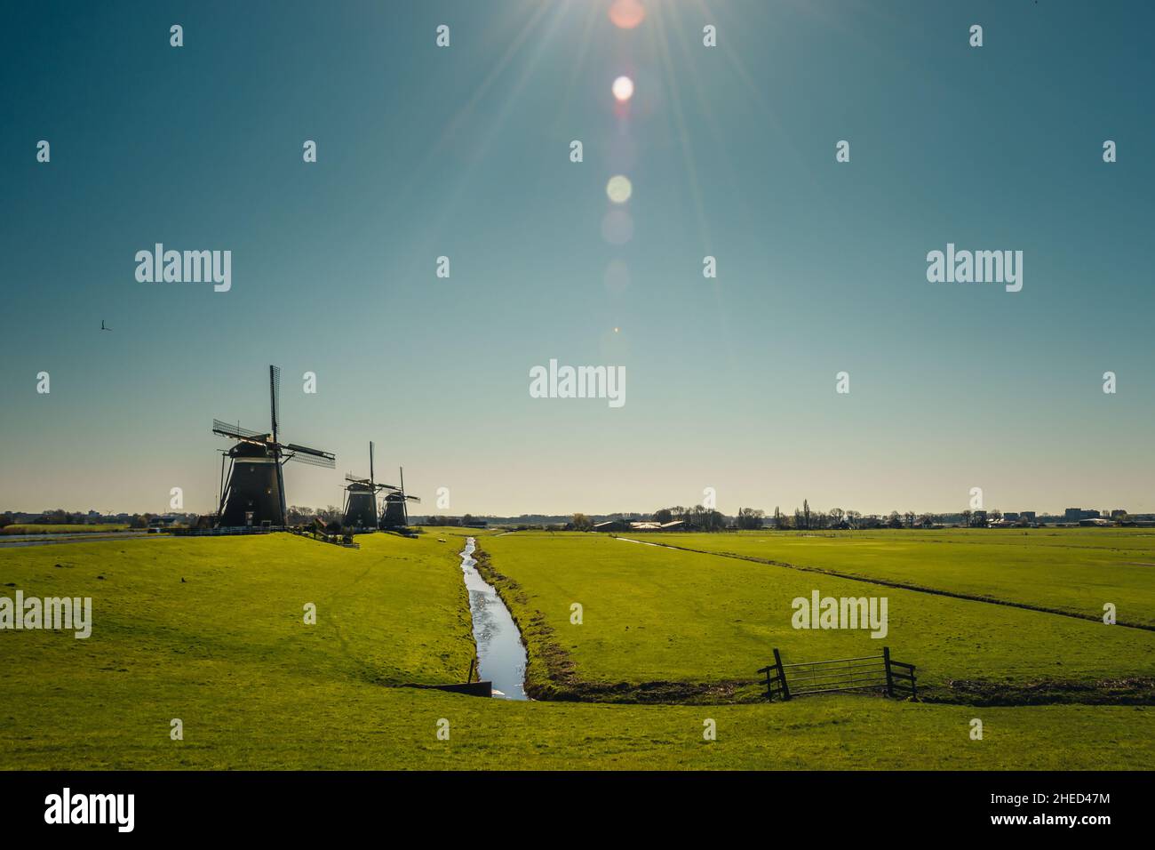 Typical dutch scenery hi-res stock photography and images - Alamy