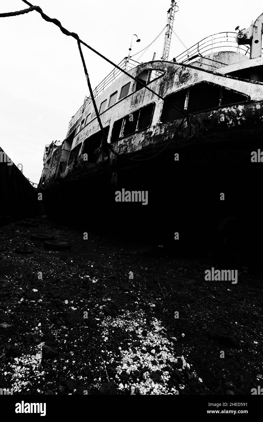 Royal iris Black and White Stock Photos & Images - Alamy