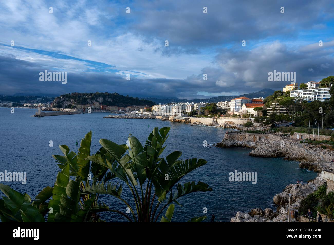 Nice sunset with trees hi-res stock photography and images - Alamy
