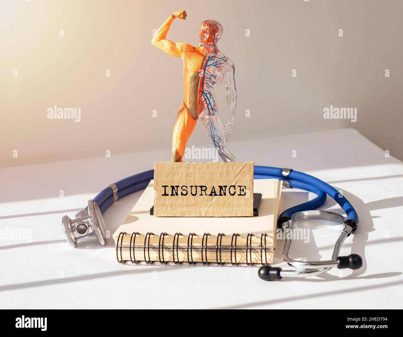 Health insurance concept. Word on paper and human body Stock Photo - Alamy