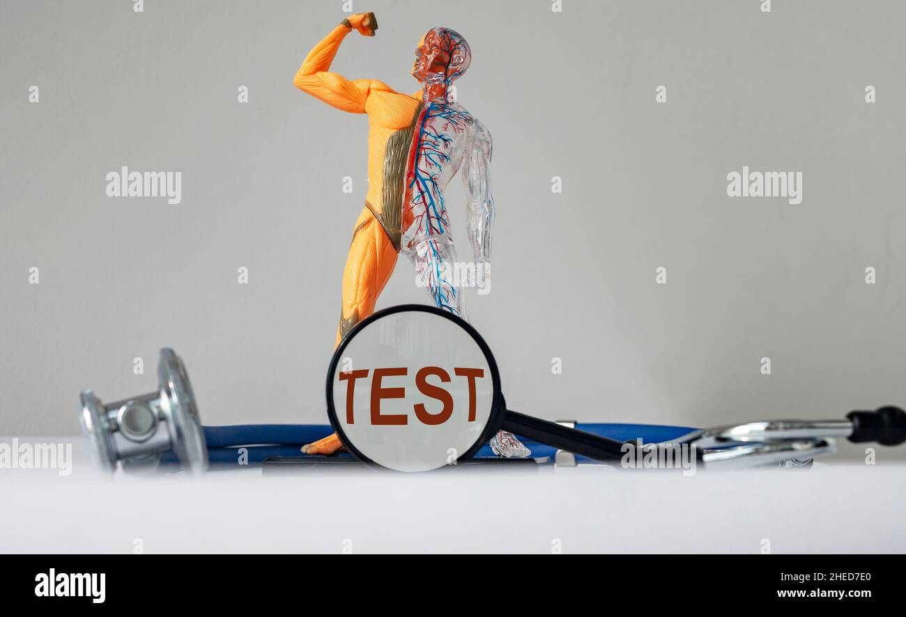 Health test concept. Word through magnifier and human body Stock Photo ...