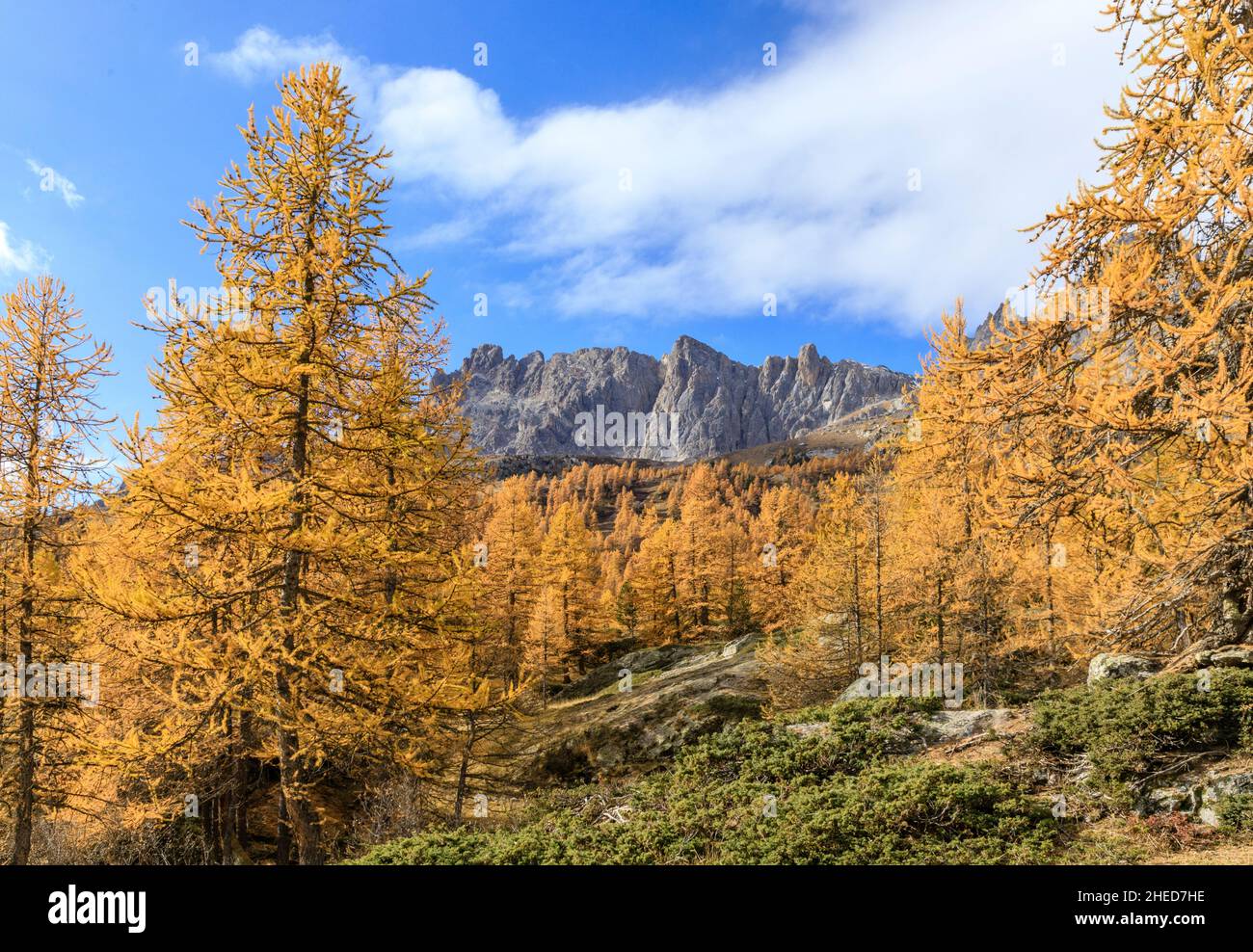 France, Hautes Alpes, Vallee de la Claree, Claree Valley, Nevache ...