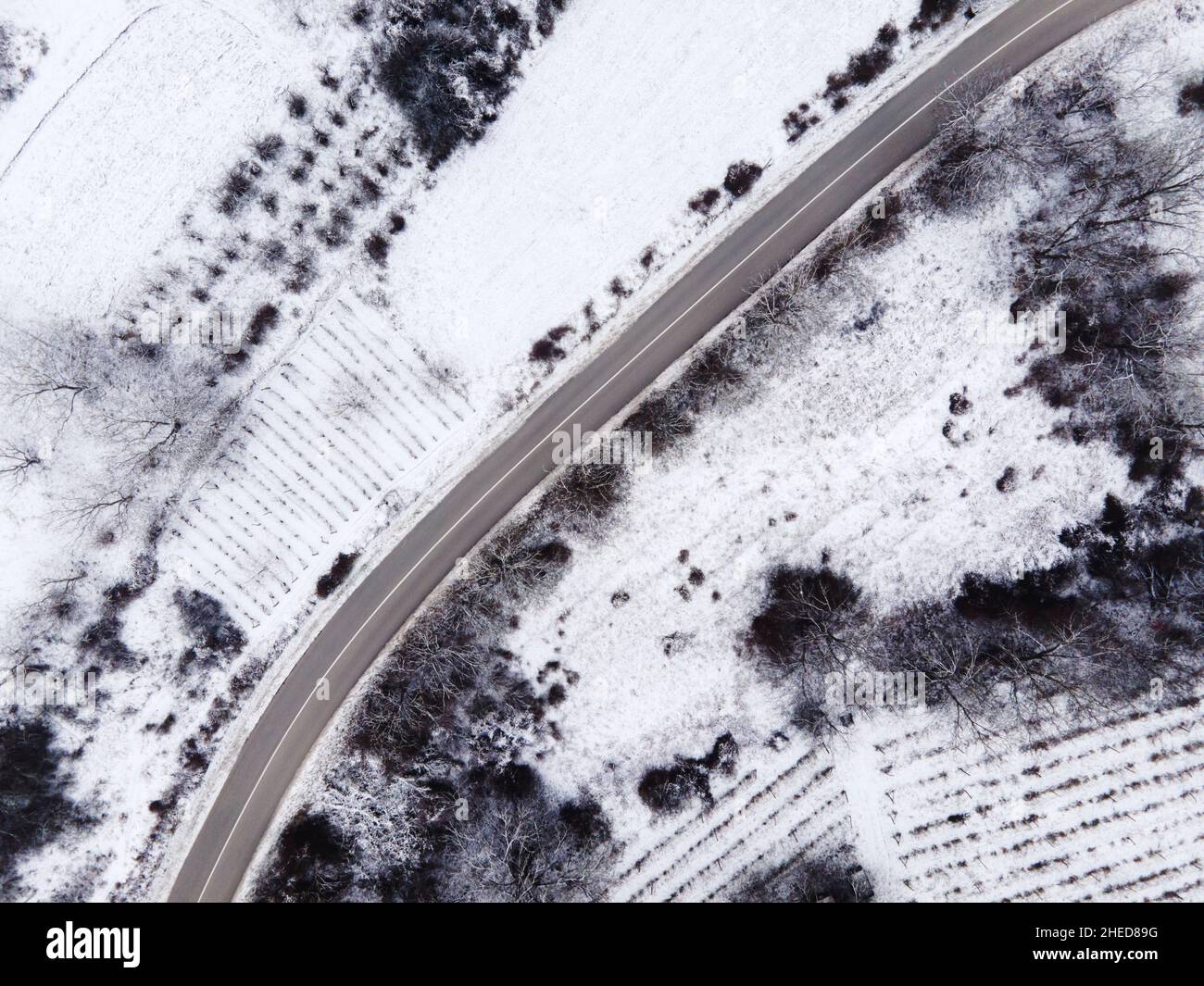 High angle top down aerial view drone image on road trough the trees ...