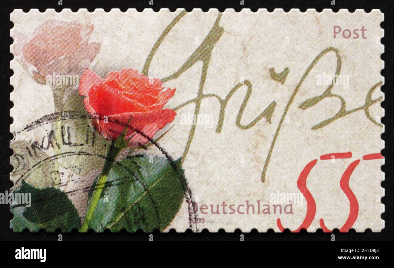 GERMANY - CIRCA 2003: a stamp printed in the Germany shows Rose Flower ...