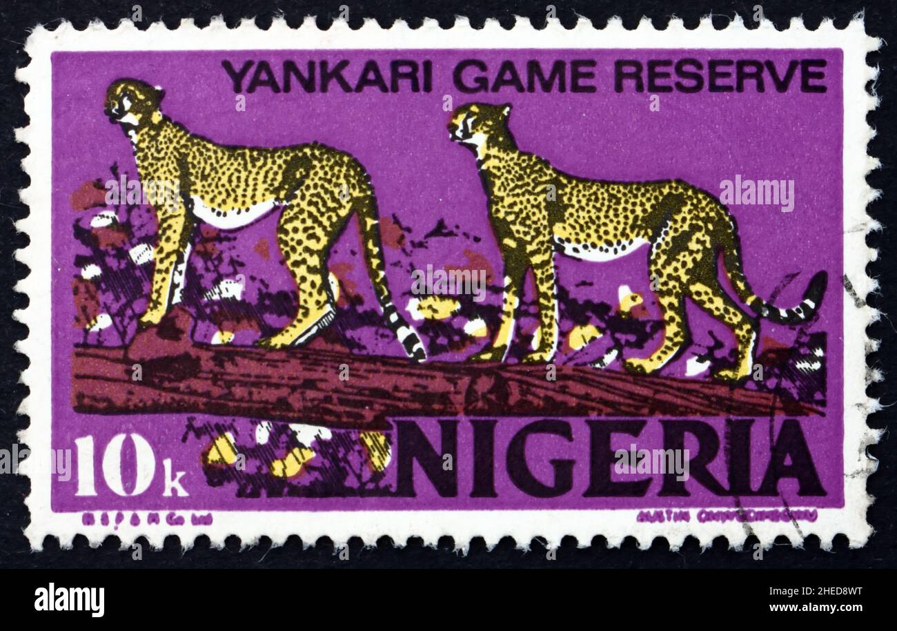 NIGERIA - CIRCA 1973: a stamp printed in Nigeria shows African Leopards ...