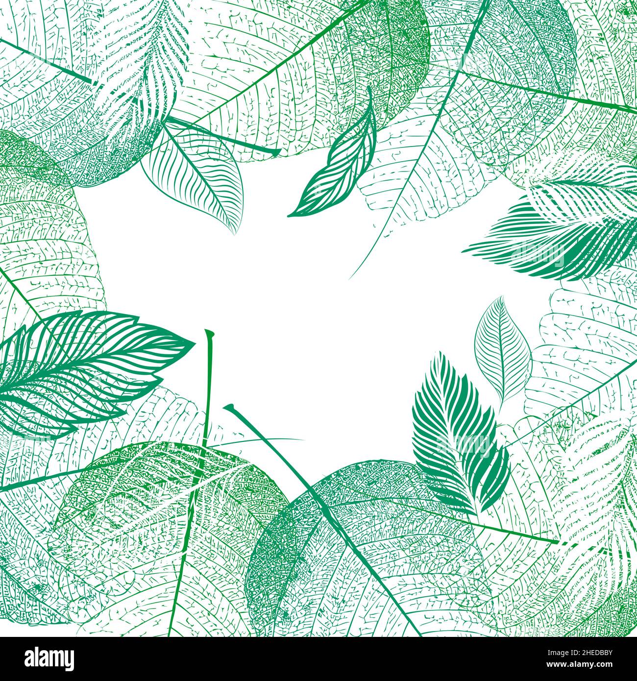 Square frame of green leaves. Vector illustration Stock Vector Image ...