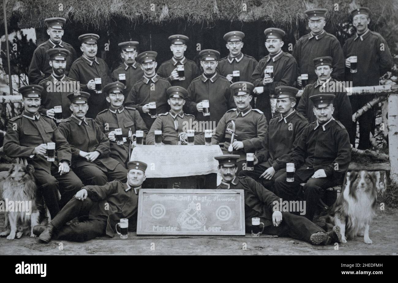 German war dog ww1 hi-res stock photography and images - Alamy