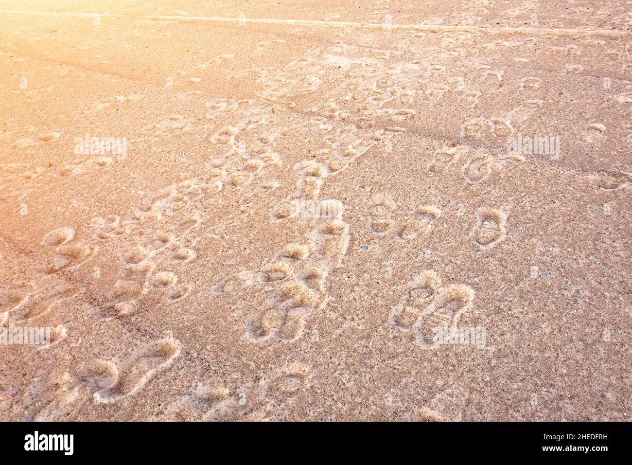 Many old footprints of people on coarse sand Stock Photo - Alamy