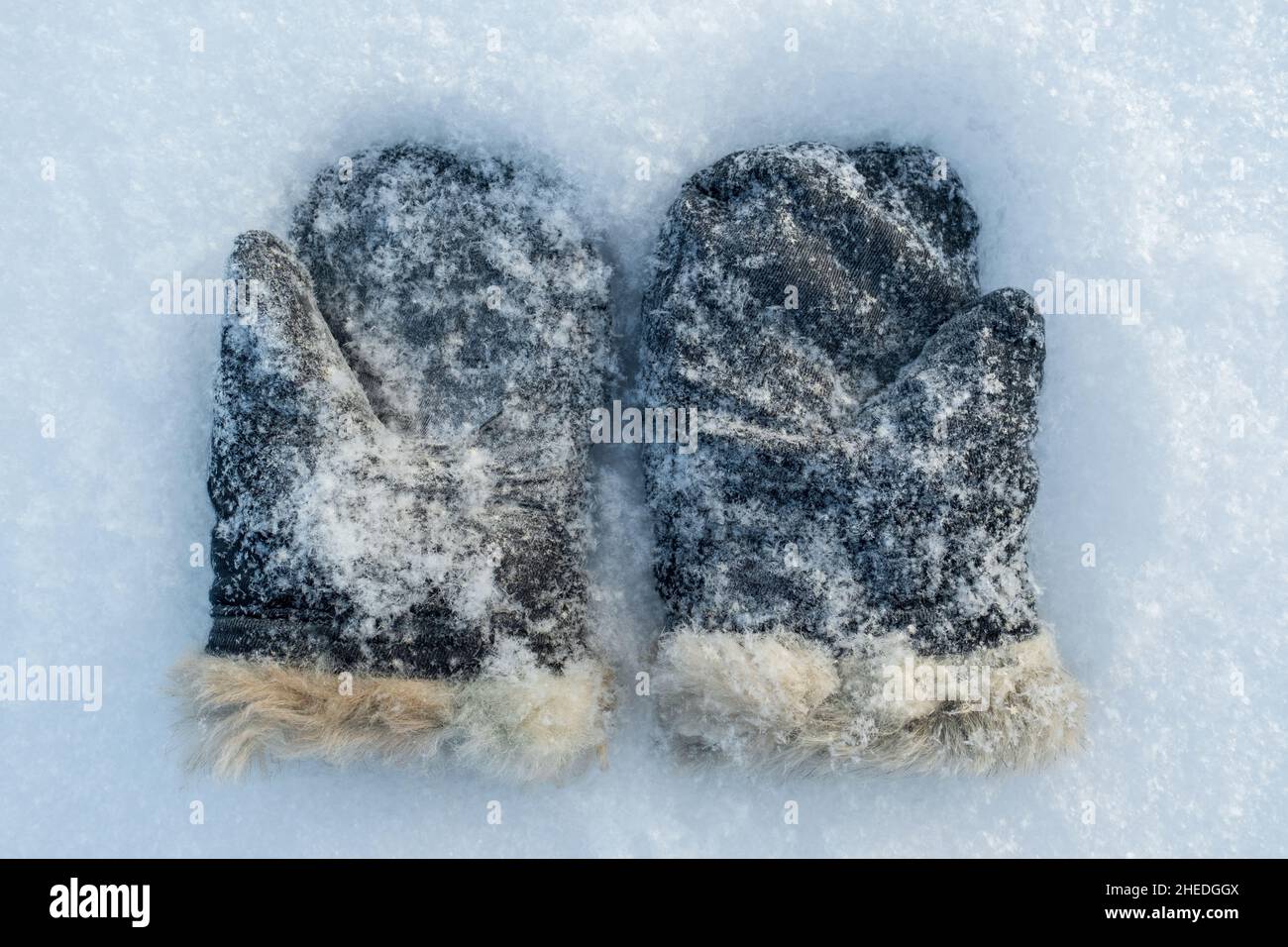 Snow-covered retro mittens, suede with natural fur on the snow, on a ...