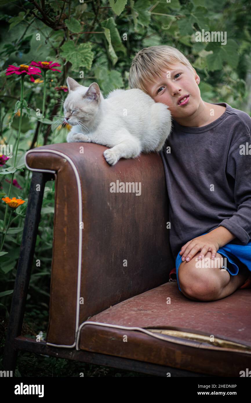 boy put head on back of cat. Friendship between child and pet. Animal ...