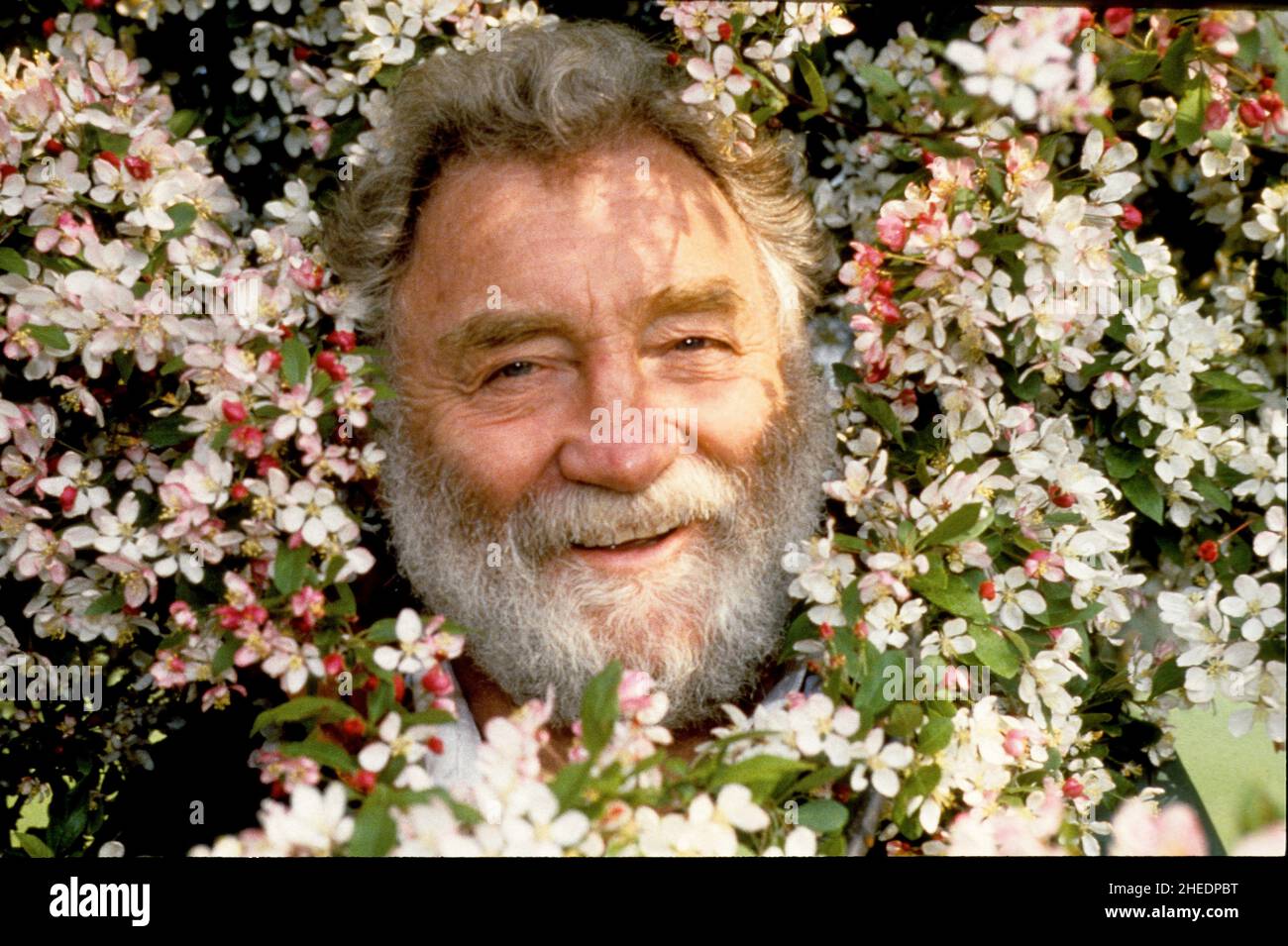 David bellamy hi-res stock photography and images - Alamy